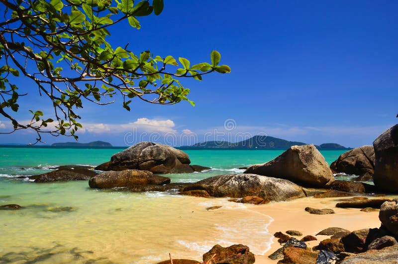 Rocks and Tree at the Sea Beach Stock Image - Image of landscape, long ...