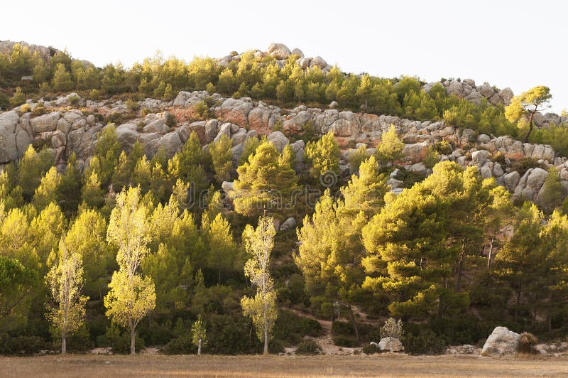 Rocks and trees stock image. Image of forest, colors - 26806079