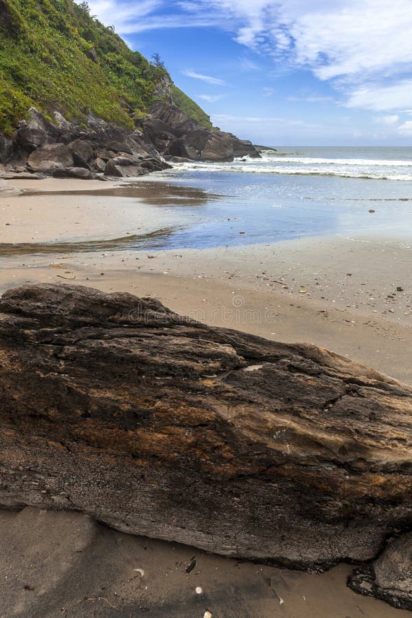 Rocks and Trees by the Beach in a Beautiful Sunny Day Stock Photo ...