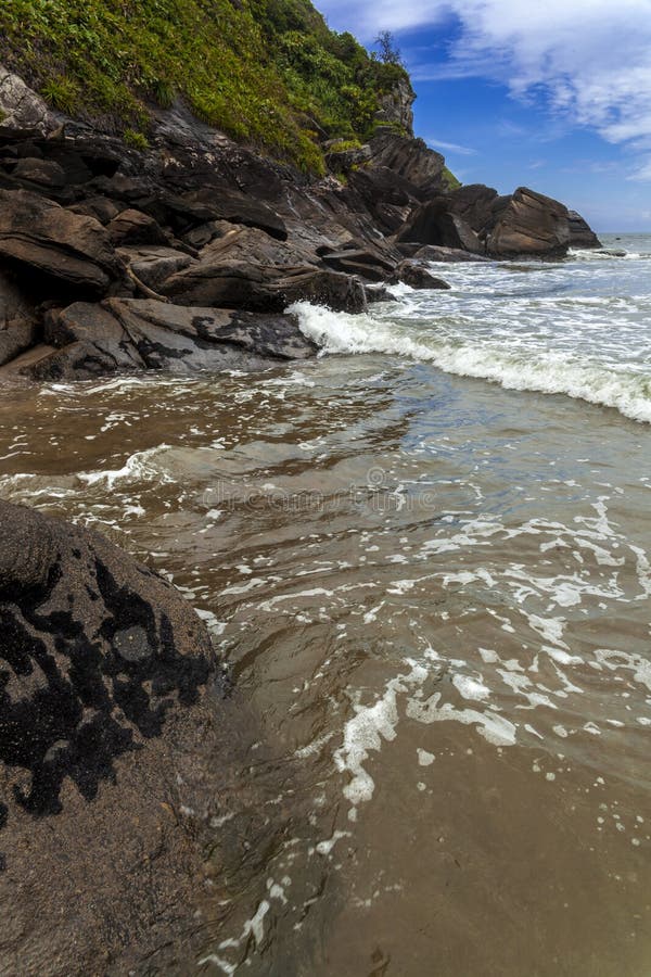 Rocks and Trees by the Beach in a Beautiful Sunny Day Stock Image ...