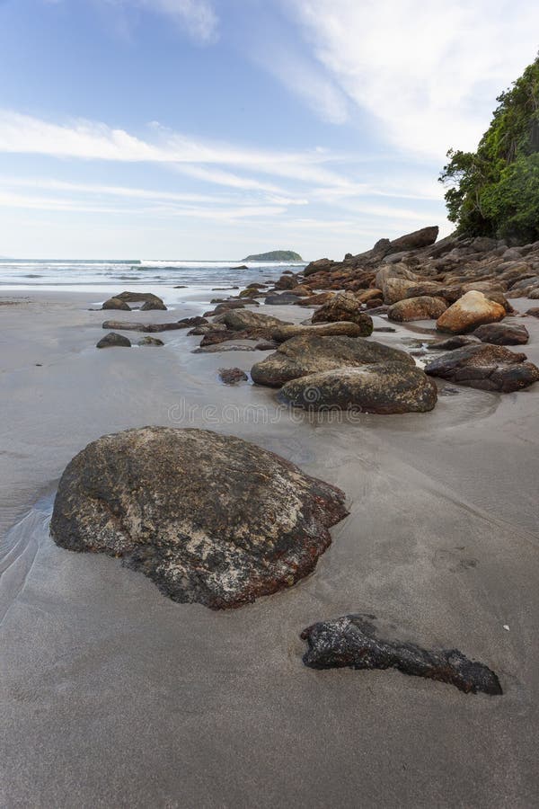Rocks and Trees in a Beach in Brazil Stock Photo - Image of ocean ...