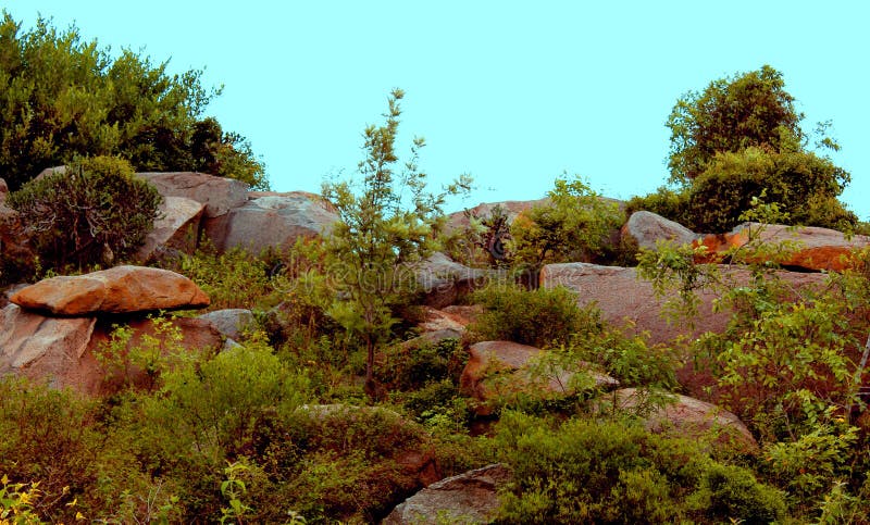 Rocks and trees stock photo. Image of geologic, view - 60619508