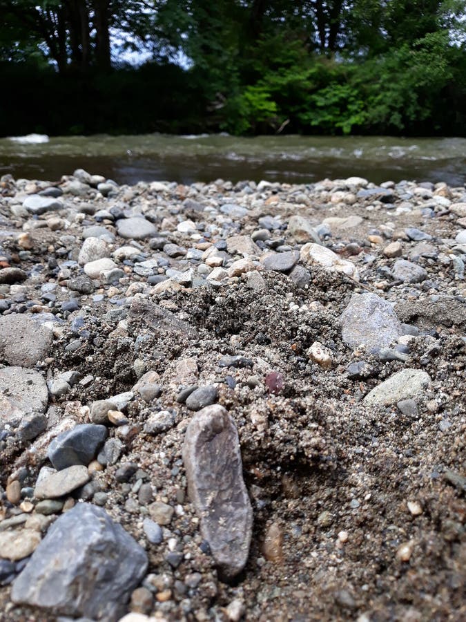 Rocks Trees River Forest Water Nature Washington Stock Image - Image of ...