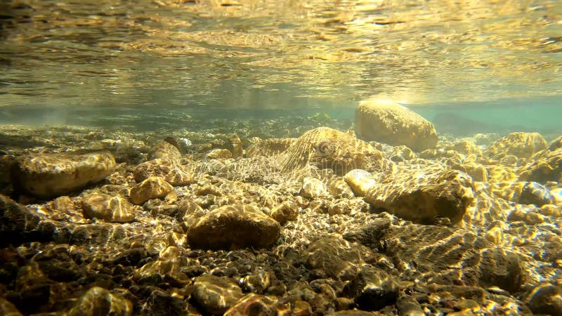 Rocks Underwater on Riverbed with Clear Freshwater Stock Video - Video ...