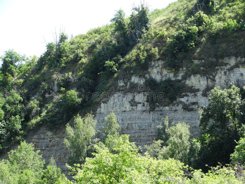 Steep cliffs in the gorge stock image. Image of forest - 150583041