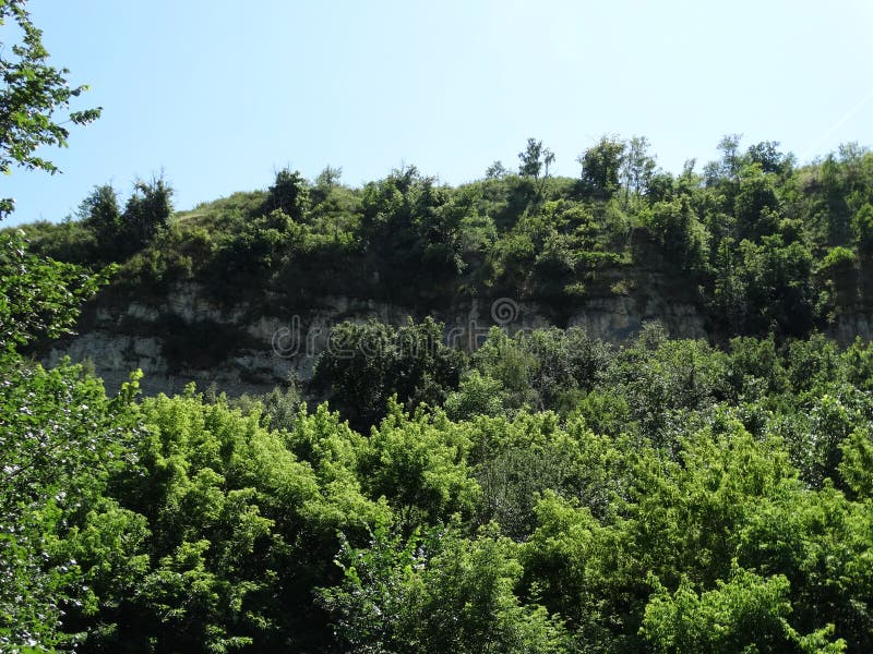 Steep cliffs in the gorge stock photo. Image of gorge - 150583206