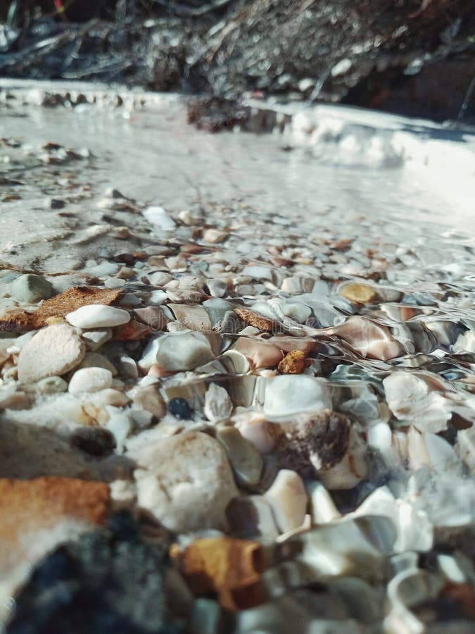 Rocks in water flow stock image. Image of water, invertebrate - 220535539