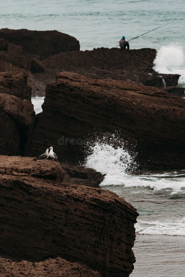 Rocks on a Wild Beach of Agadir Editorial Photography - Image of beach ...