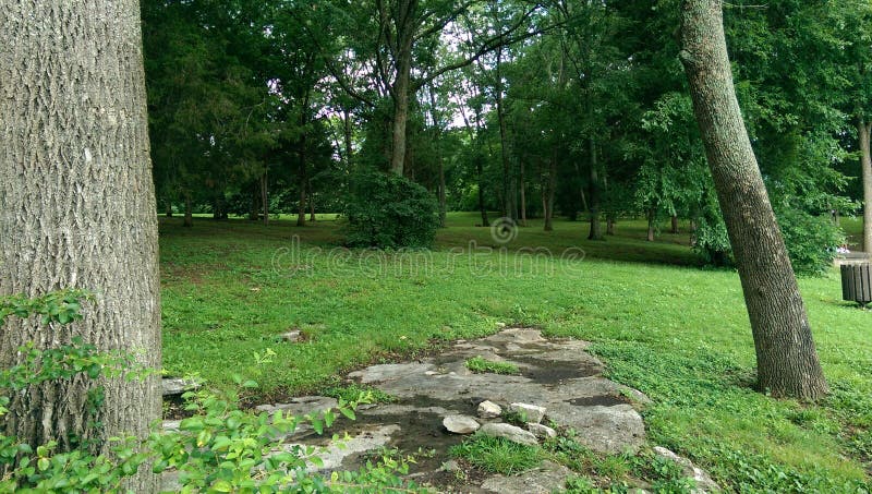 Rocks in the woods stock image. Image of rocks, forrest - 56326805