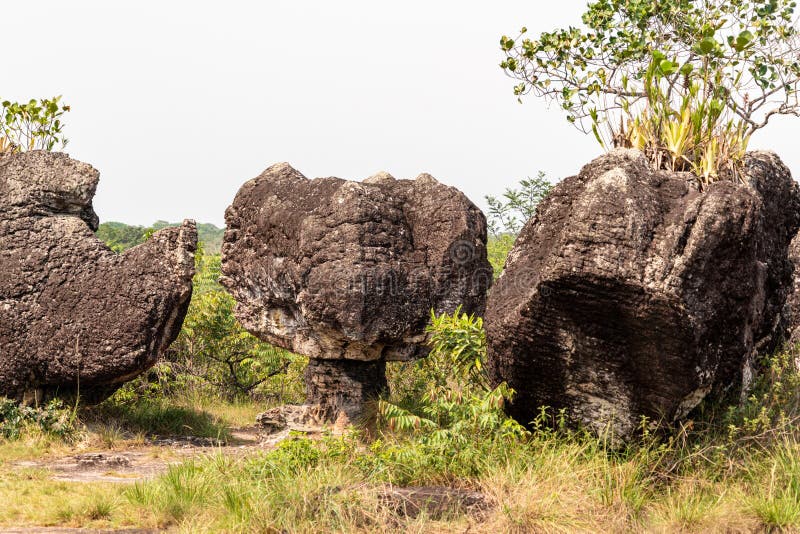 Rocky Area of Natural Caves in the Colombian Amazon Stock Image - Image ...
