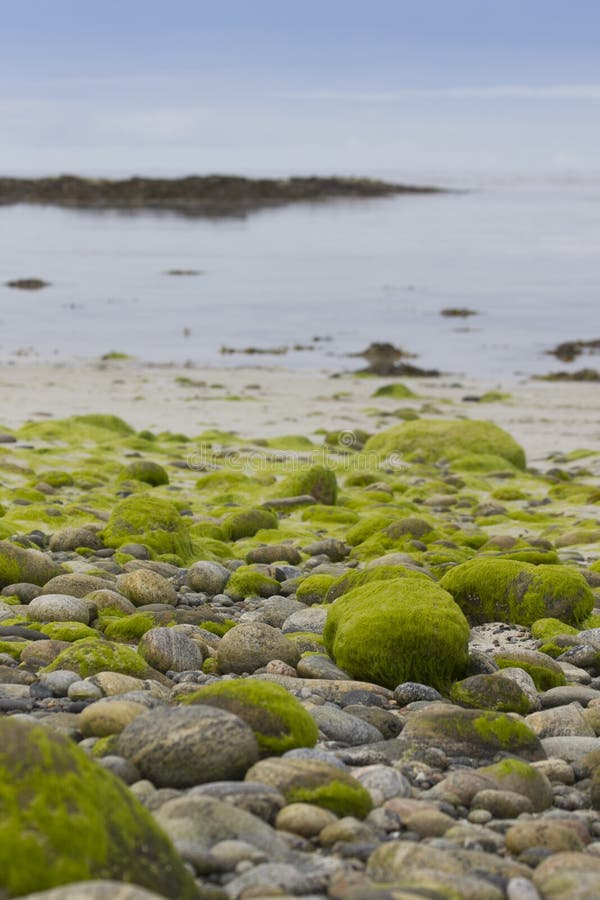 Rocky Beach stock photo. Image of loch, hill, hiking - 16018730