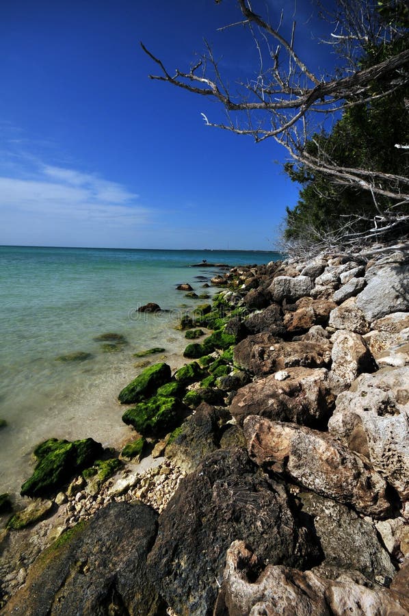 Rocky beach in florida stock image. Image of summer, sand - 10072553