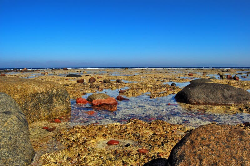 Rocky beach stock image. Image of rough, beach, beautiful - 37559175