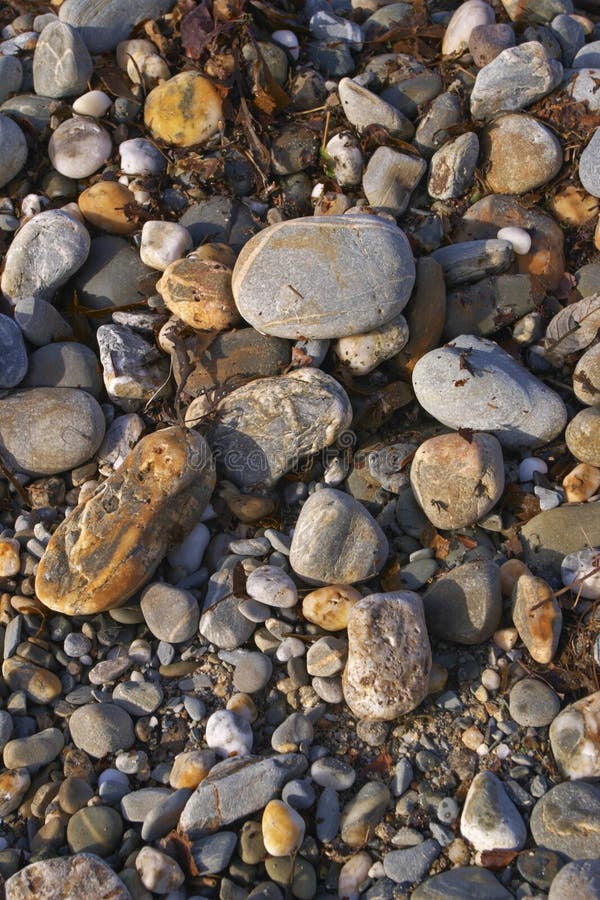 Rocky Beach - Close Up Picture. Image: 4657652
