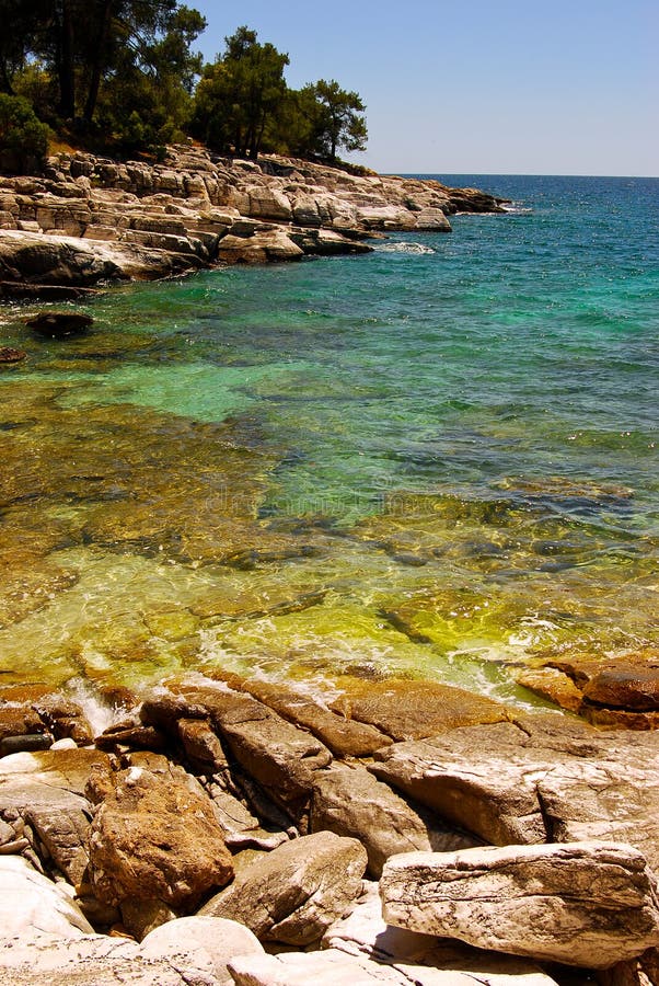 Rocky Beach with Clear Sea Water and Vegetation Stock Photo - Image of ...