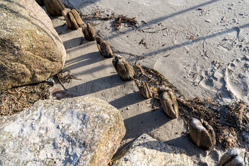 A Rocky Beach with a Line of Shells and Rocks Stock Image - Image of ...