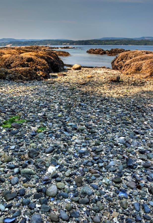 Rocky Beach In Normandy, France Stock Photo - Image of cliff, coast ...