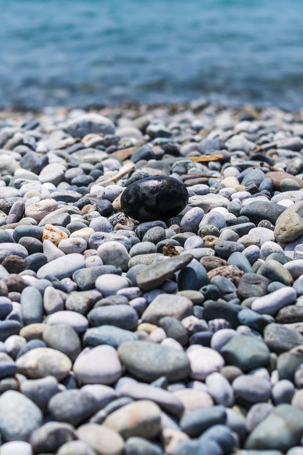 Pebblelike Stock Photos - Free & Royalty-Free Stock Photos from Dreamstime