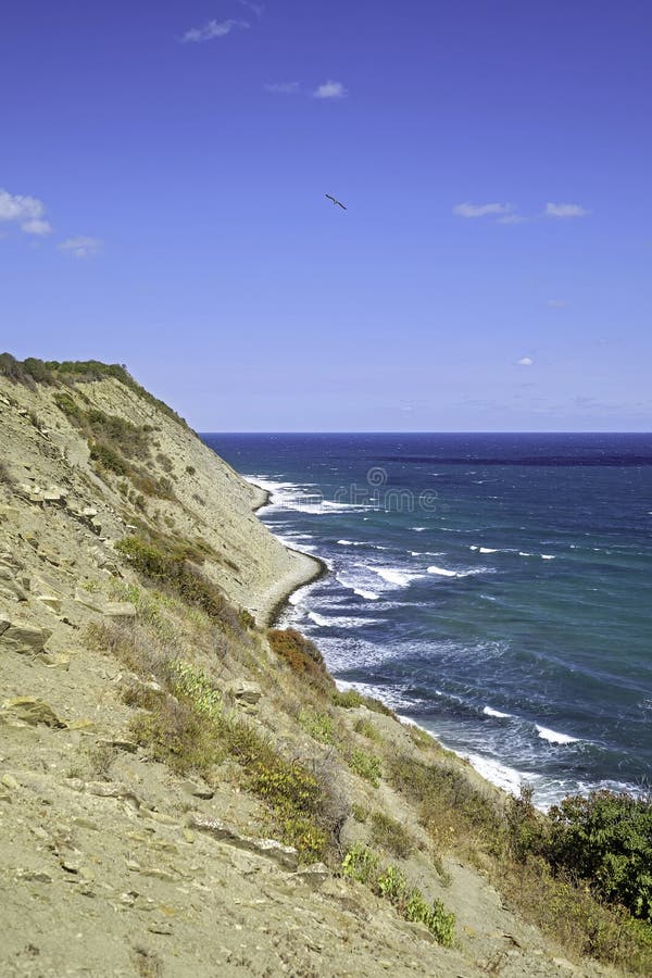 Rocky Beach in Sunny Weather Landscape 5 Stock Image - Image of ...