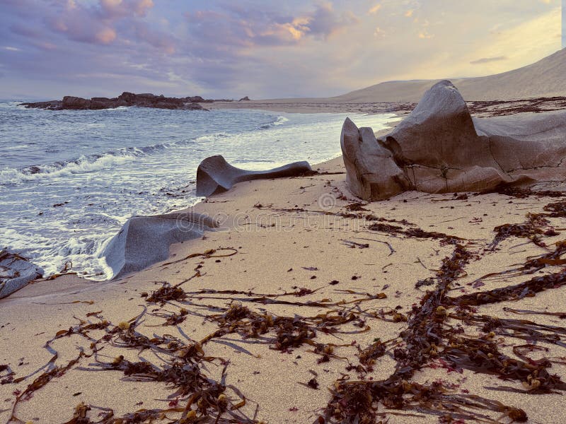 Rocky Beach at Sunset with Seaweed on Sandy Shoreline and Tranquil ...