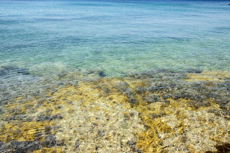 Rocky beach surface stock image. Image of element, surface - 253478029