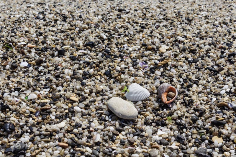 Rocky Beach Surface and Seashells Stock Image - Image of abstract ...