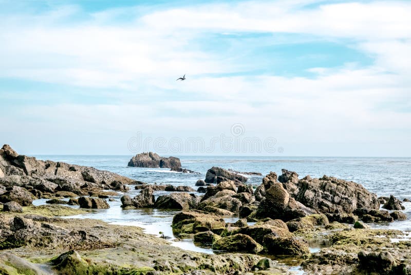 Rocky Beach stock photo. Image of california, tide, water - 88937142