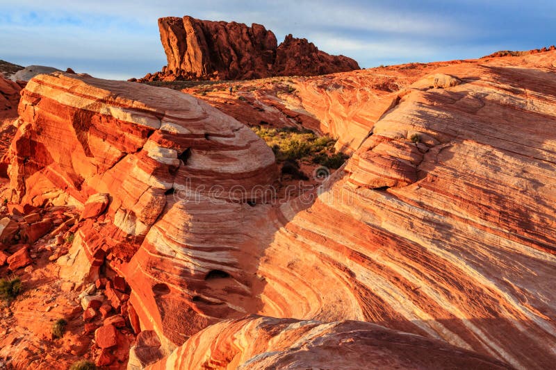 A Rocky Cliff with a Small Green Plant Growing on it Stock Photo ...