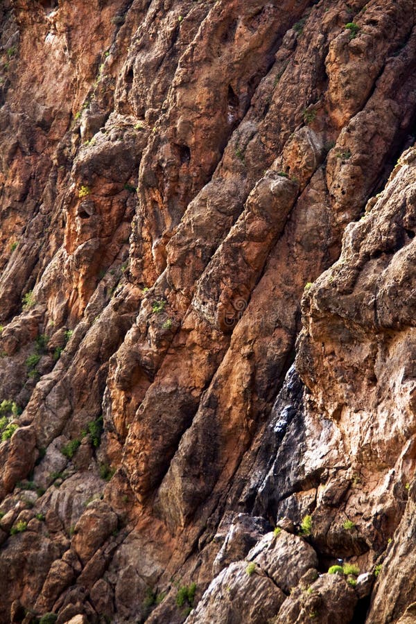 Rocky Cliff Texture stock photo. Image of cliff, coarse - 4156872