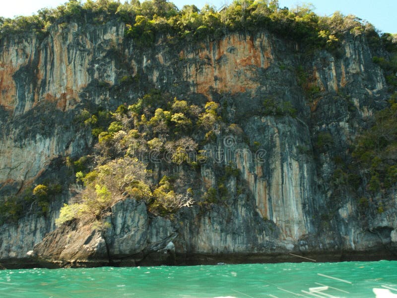 A Rocky Cliff with a Tree Growing Out of it Stock Photo - Image of ...
