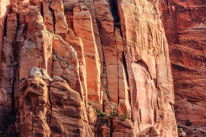 A Rocky Cliff with a Tree Growing Out of it Stock Image - Image of ...