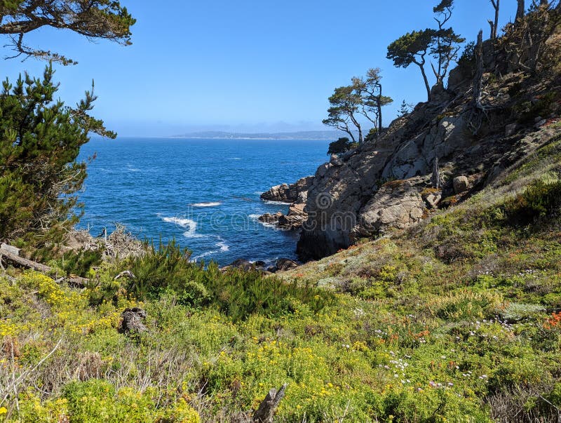 Cliff View on the Beach on a Sunny Day Stock Photo - Image of beach ...