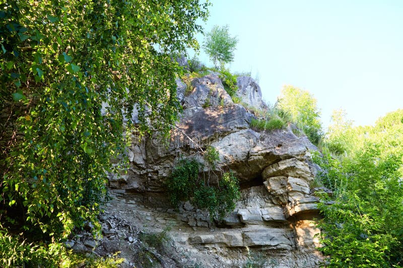 Rocky Cliffside Covered in Greenery Under a Clear Blue Sky during ...