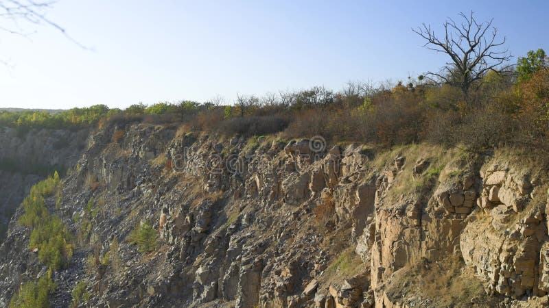 A Rocky Cliffside with Sparse Vegetation, Including Dry Bushes and a ...