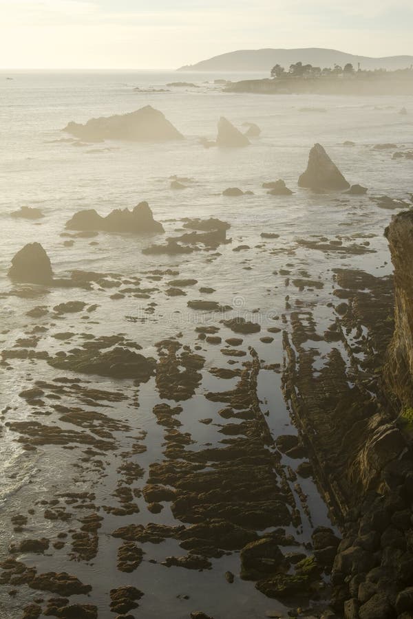 Rocky Coast Shell Beach 2 stock photo. Image of tide - 13150712