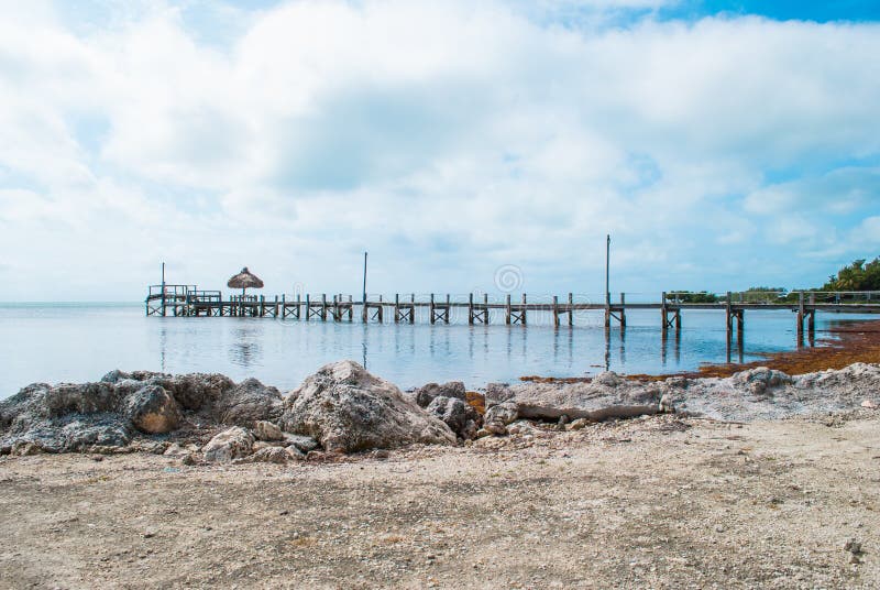 Rocky Coastline of the Florida Keys Stock Photo - Image of rocky ...