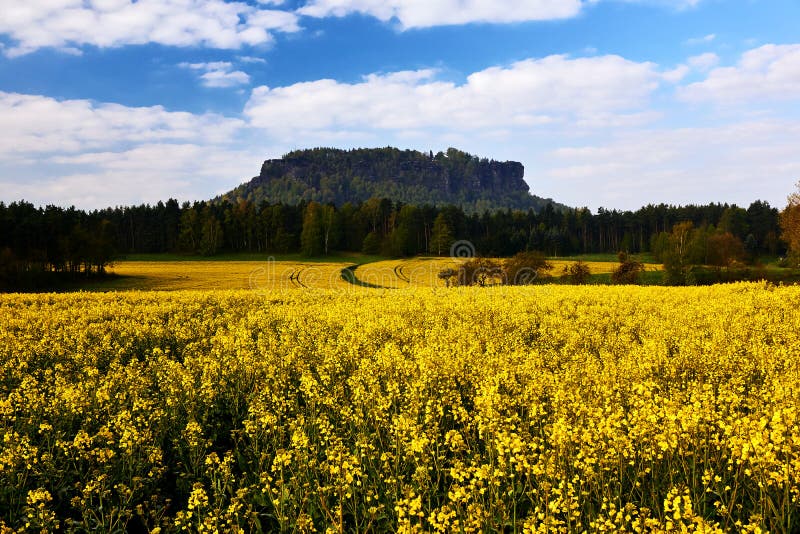 Rocky Countryside in Saxony Bastei and Elbe Stock Photo - Image of ...