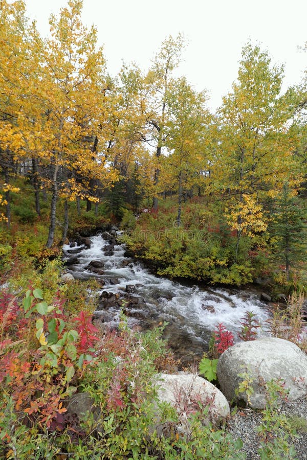 Creek Bed in an Autumn Landscape Scene Stock Image - Image of beautiful ...