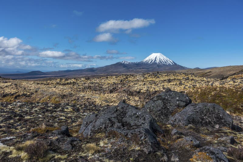 Dry Rocky Land with a Dead Tree Aerial View Stock Photo - Image of ...