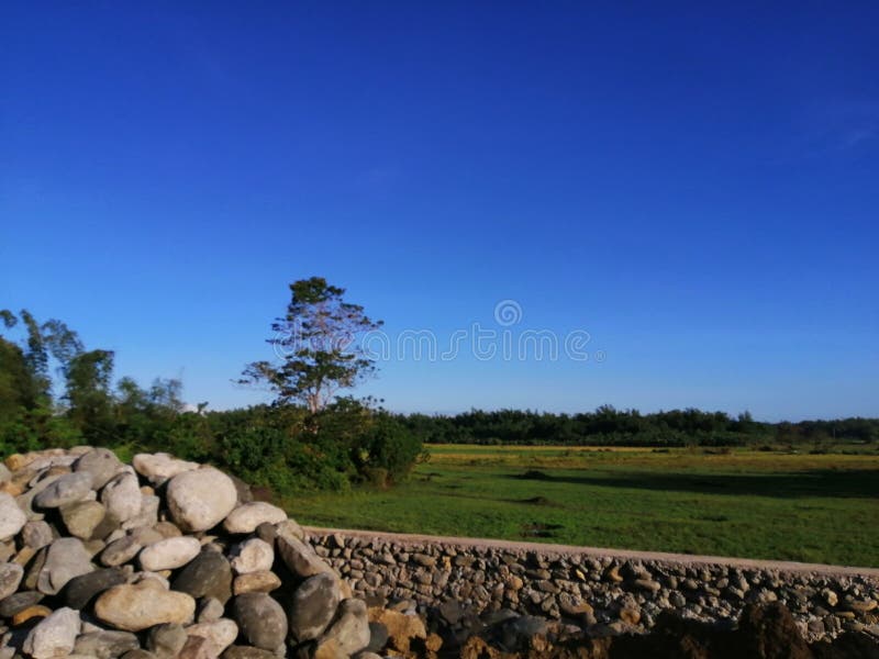 Rocky Farm with Tree Afar in Blue Sky Stock Image - Image of rocky ...