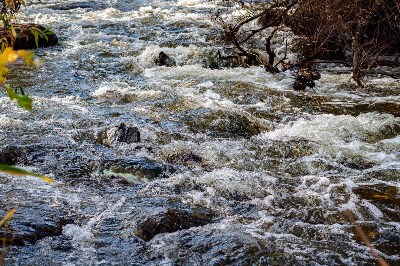 Rocky Fast River. Running Water, Flowing with Rapids Stock Photo ...