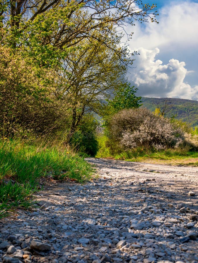 Rocky Footpath Footpath in the Shade of Flowering Shrubs and Trees in ...