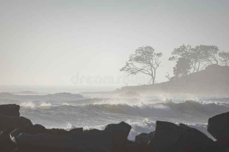 Rocky Foreground with Big Waves and Trees in Fog Background at Wooli in ...