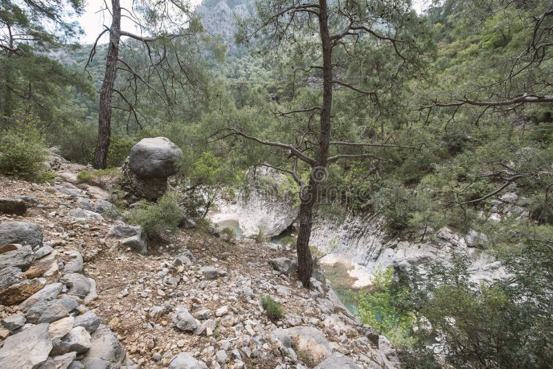 Rocky forest landscape stock photo. Image of rocky, edge - 268479814