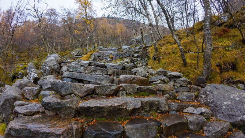 Rocky Forest Path in Autumn Stock Image - Image of scenic, sunset ...