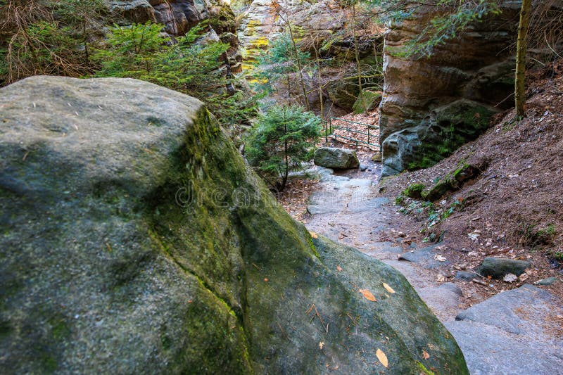 Rocky Forest Pathway in Autumnal Woodland Setting Stock Photo - Image ...