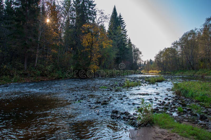 Rocky Forest River with Low Stream in Summer Stock Image - Image of ...