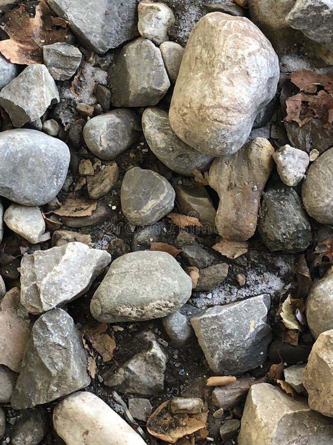 Rocky ground stock image. Image of forest, background - 114010419