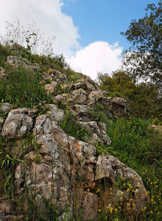 Karst Topography (Shikoku Karst) Stock Image - Image of kochi ...