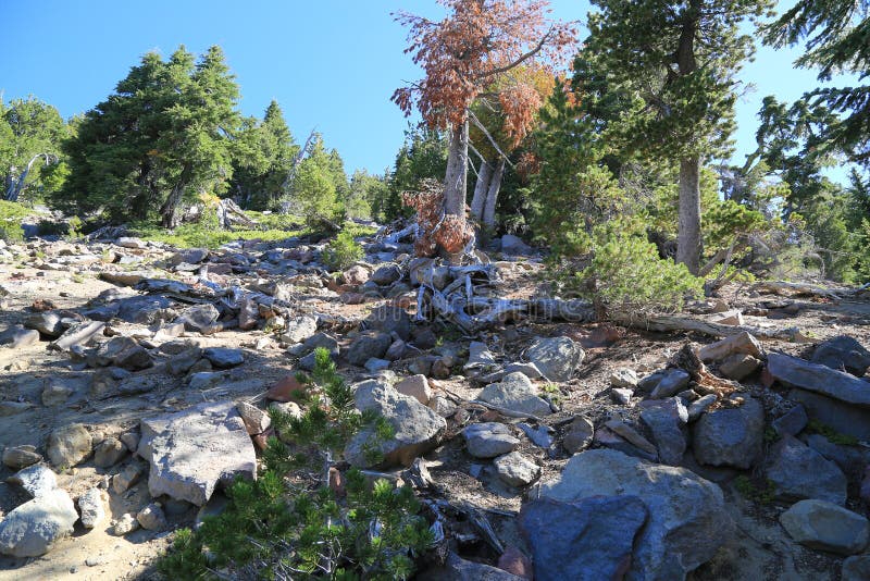 Rocky Hillside Along The Road Going Up Mt. Lemmon Stock Image - Image ...